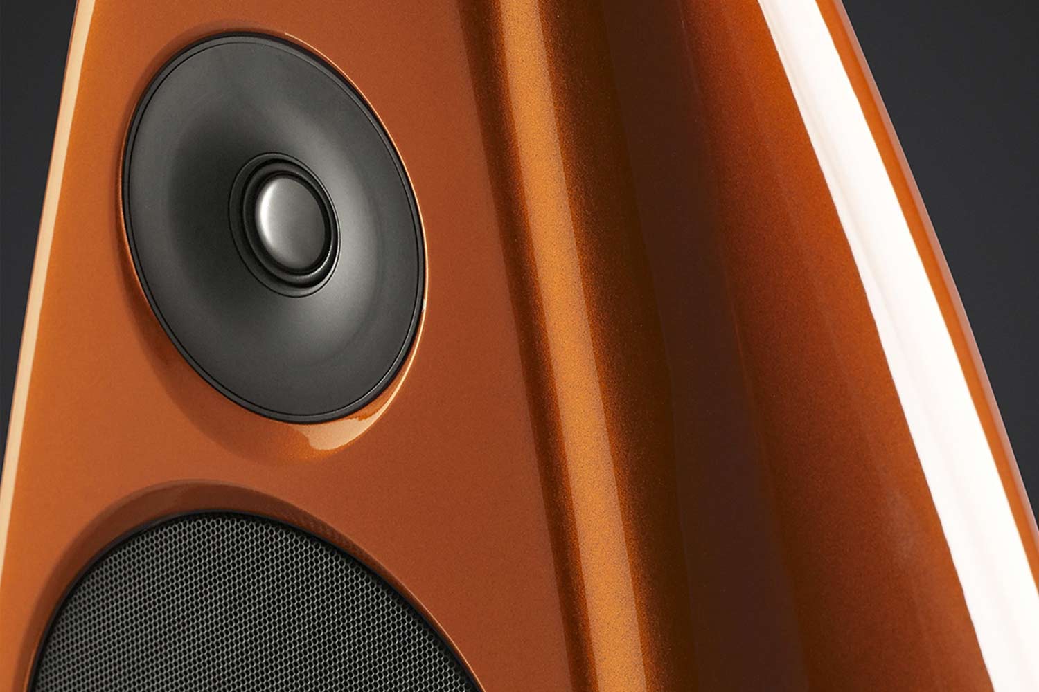 Meridian DSP9 Reference Loudspeakers – Soundline Audio Online NZ